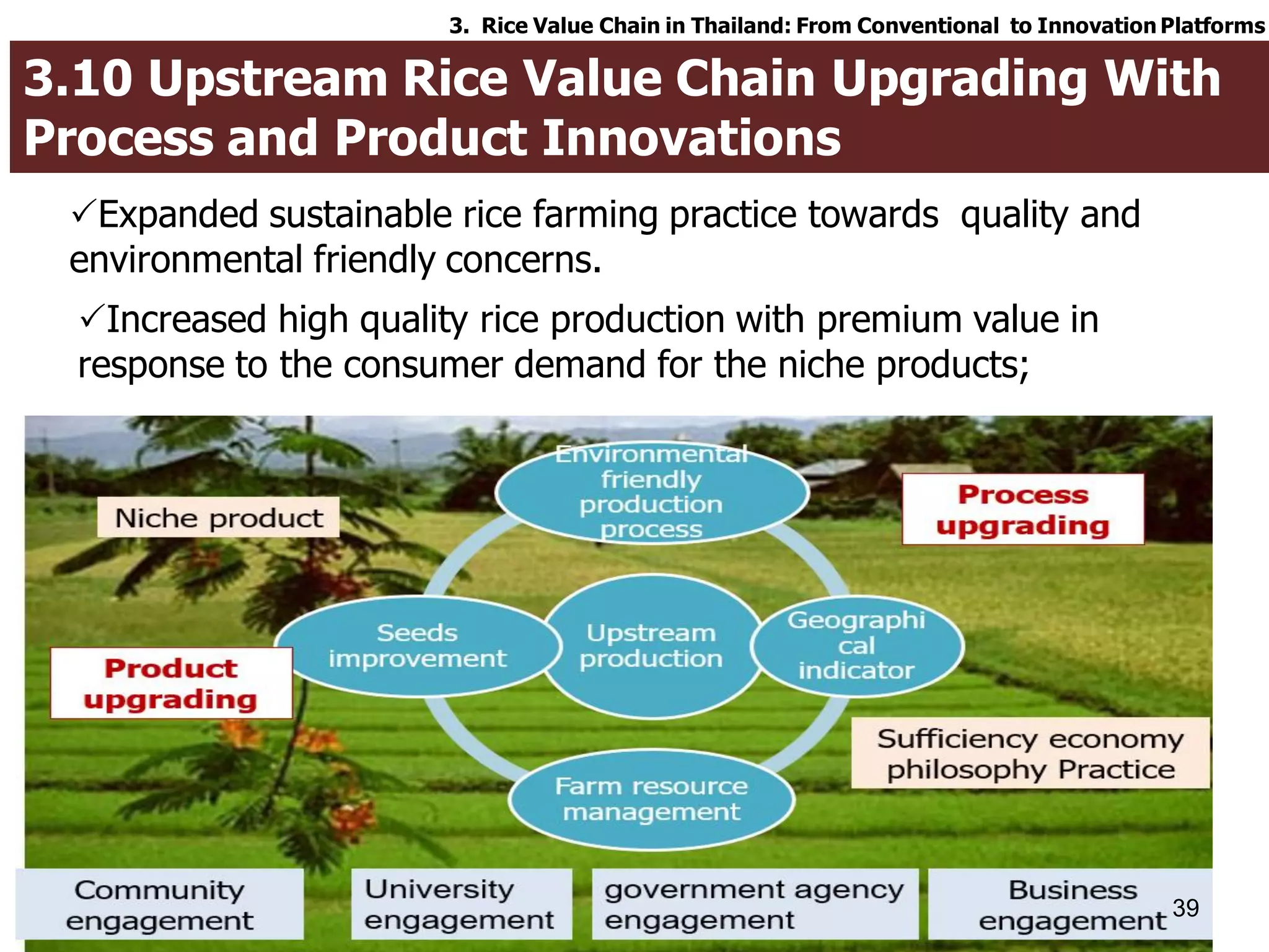 (1) Thailand Rice Value Chain December 1 2022.pdf