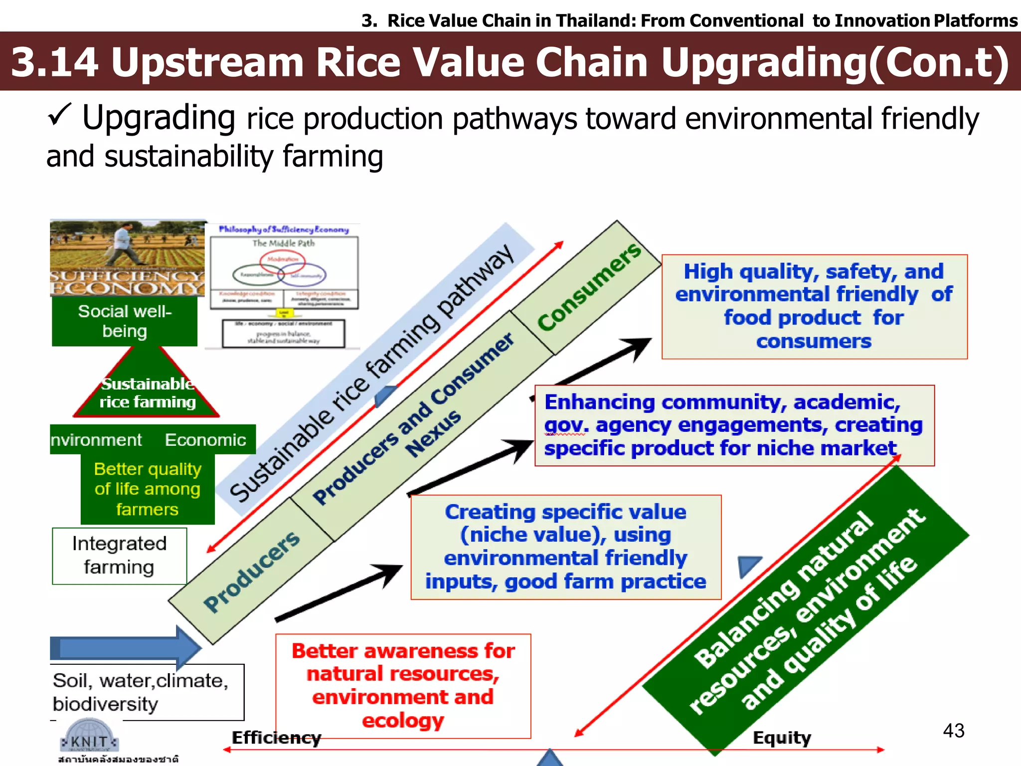 (1) Thailand Rice Value Chain December 1 2022.pdf