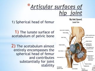 Anatomy of The hip joint & femoral Head | PPTX