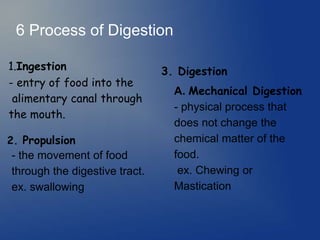 1 the digestive system final PRESENTATION | PPT