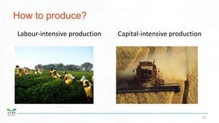 1 the economic problem | PPTX