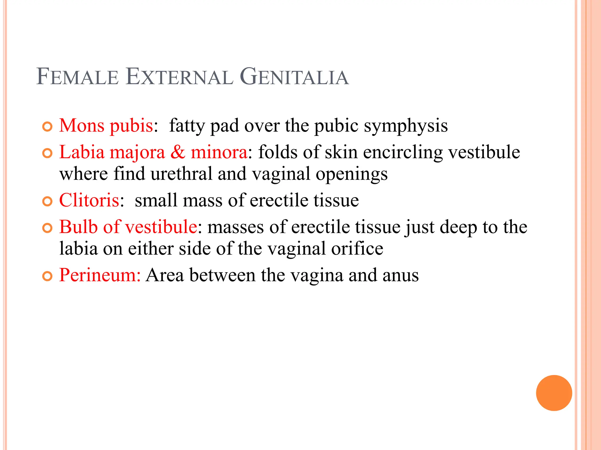 The Female Reproductive System By Mr. T.ppt