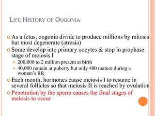 The Female Reproductive System By Mr. T.ppt