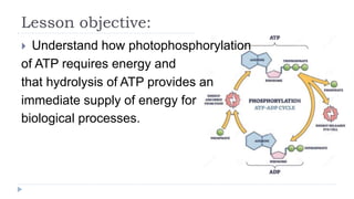 A level biology- The importance of ATP | PPTX