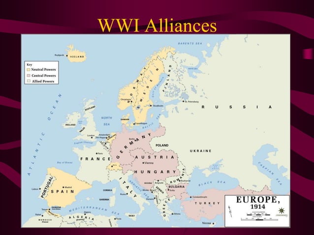 1 the main causes of wwi slideshare version | PPTX | Death, Injury, or ...