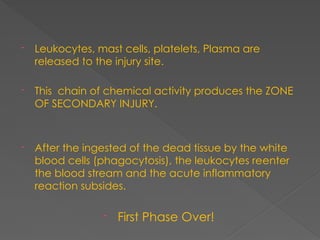 1 The Mechanism of Tissue Injury and Healing.pptx
