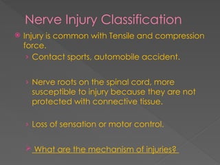 1 The Mechanism of Tissue Injury and Healing.pptx