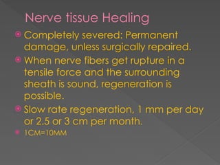 1 The Mechanism of Tissue Injury and Healing.pptx
