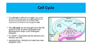 1 The Normal Cell uni malaya prof dr.pdf