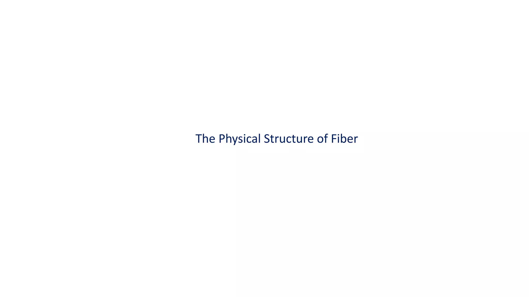 the physical structure of fiber | PPT
