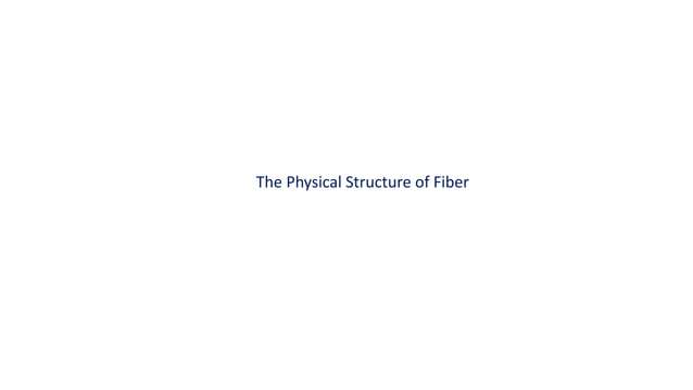 the physical structure of fiber | PPT