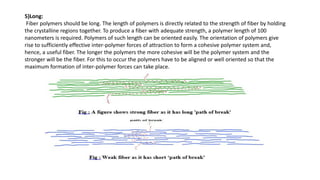 the physical structure of fiber | PPT