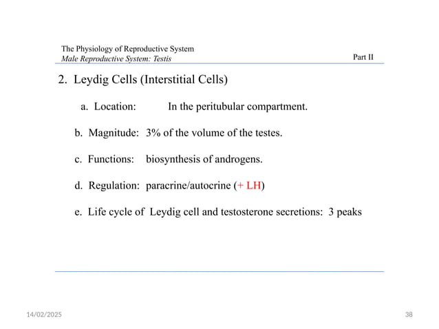 1_The_Physiology_of_Reproductive_System_Sexual_Differentiation_Copy.pptx