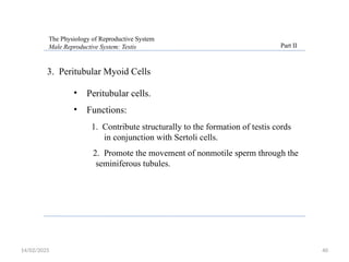 1_The_Physiology_of_Reproductive_System_Sexual_Differentiation_Copy.pptx