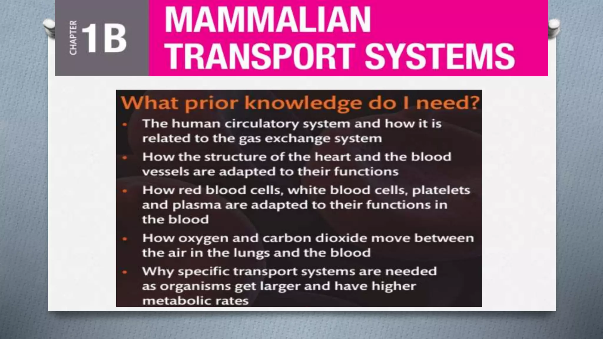 AS Biology The principles of circulation | PPTX