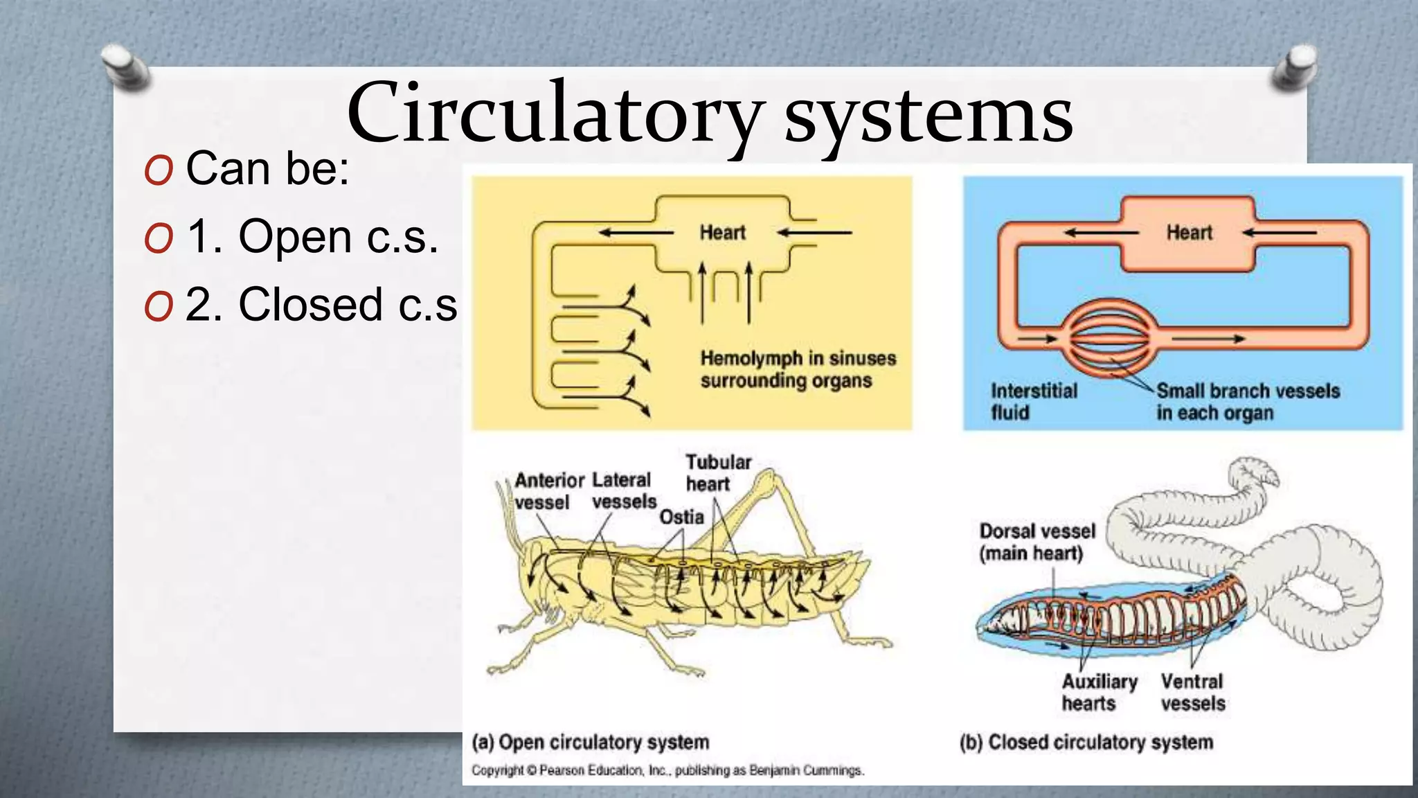 AS Biology The principles of circulation | PPTX
