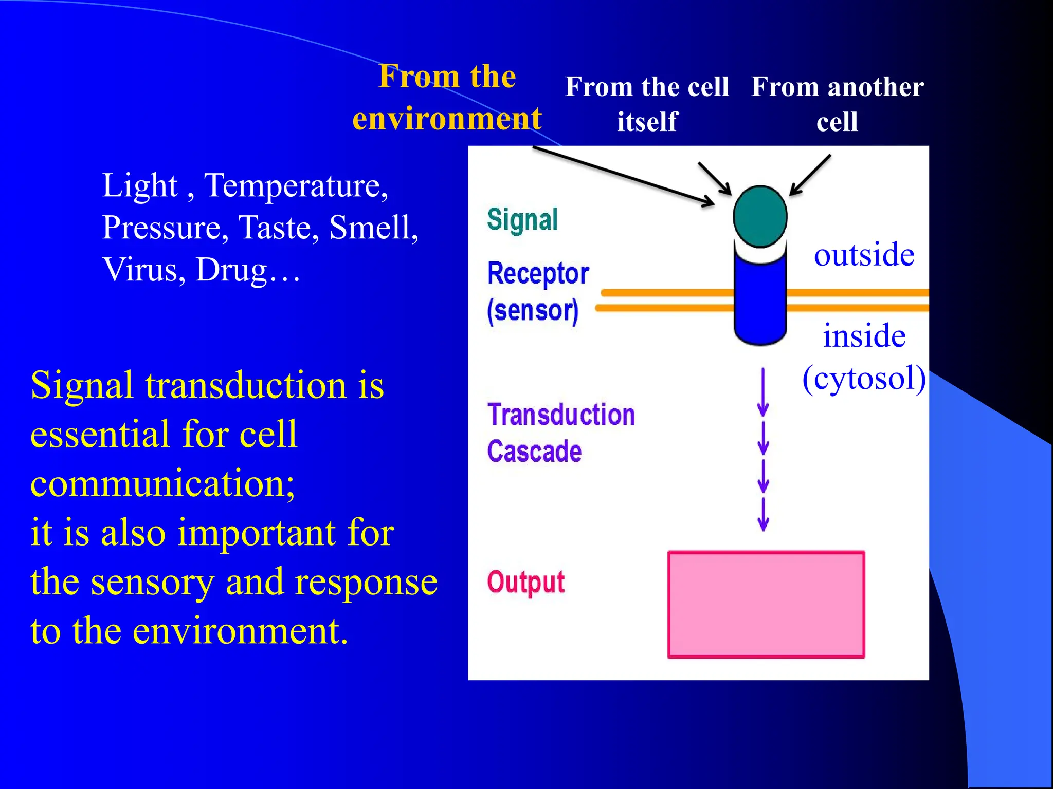 1 the progress of cell signaling.pdf Understanding cell signaling | PPT