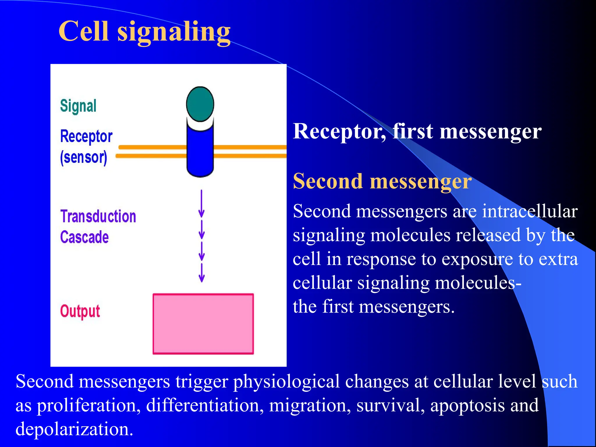 1 the progress of cell signaling.pdf Understanding cell signaling | PPT