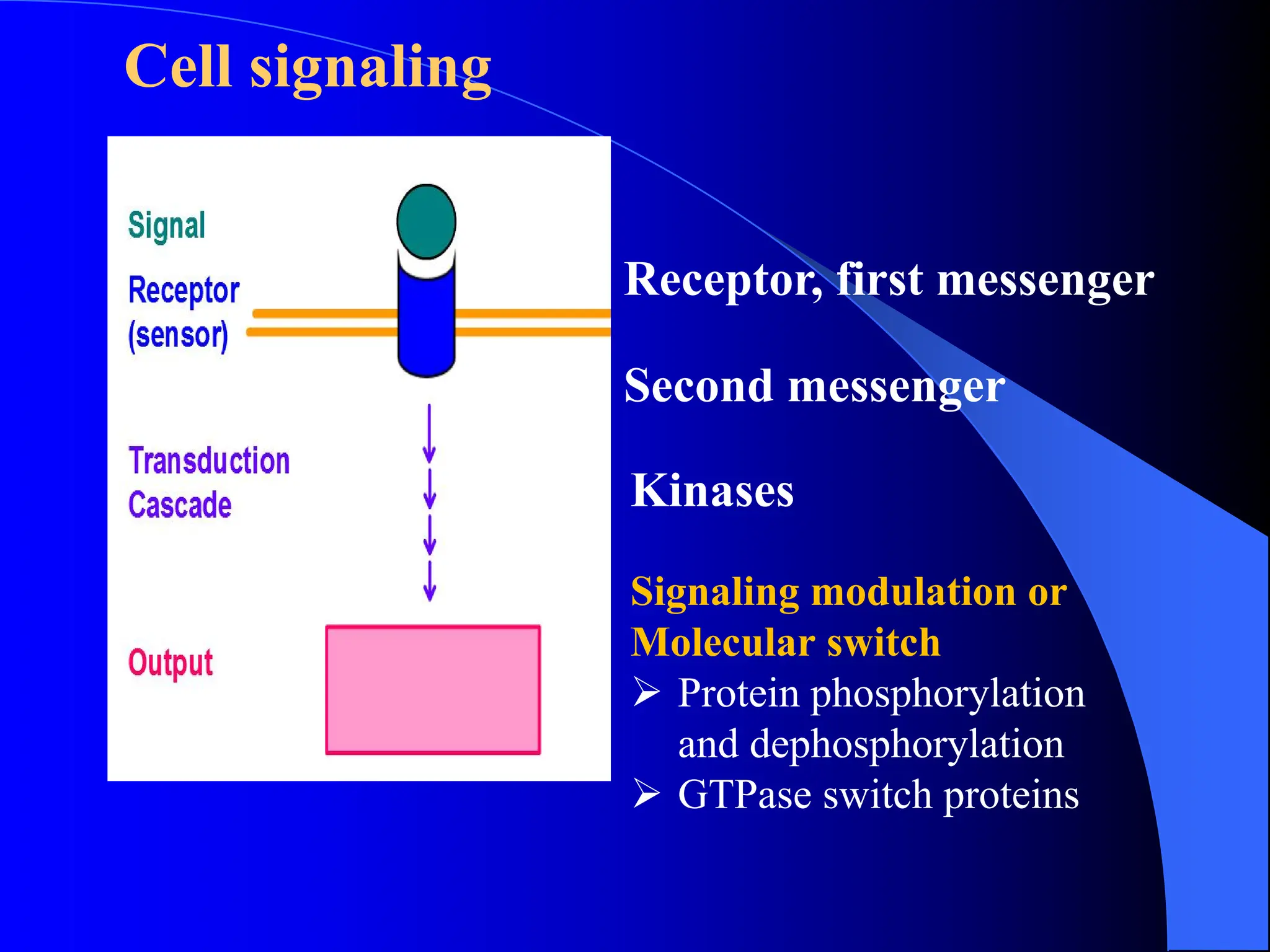 1 the progress of cell signaling.pdf Understanding cell signaling | PPT