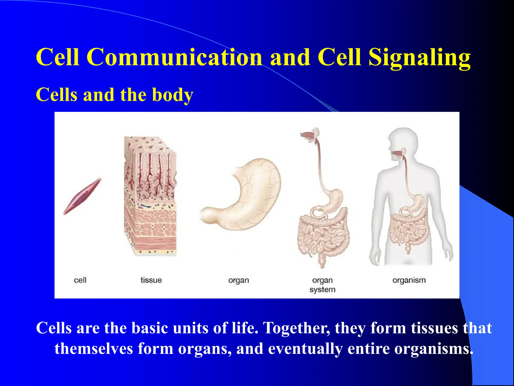 1 the progress of cell signaling.pdf Understanding cell signaling | PPT