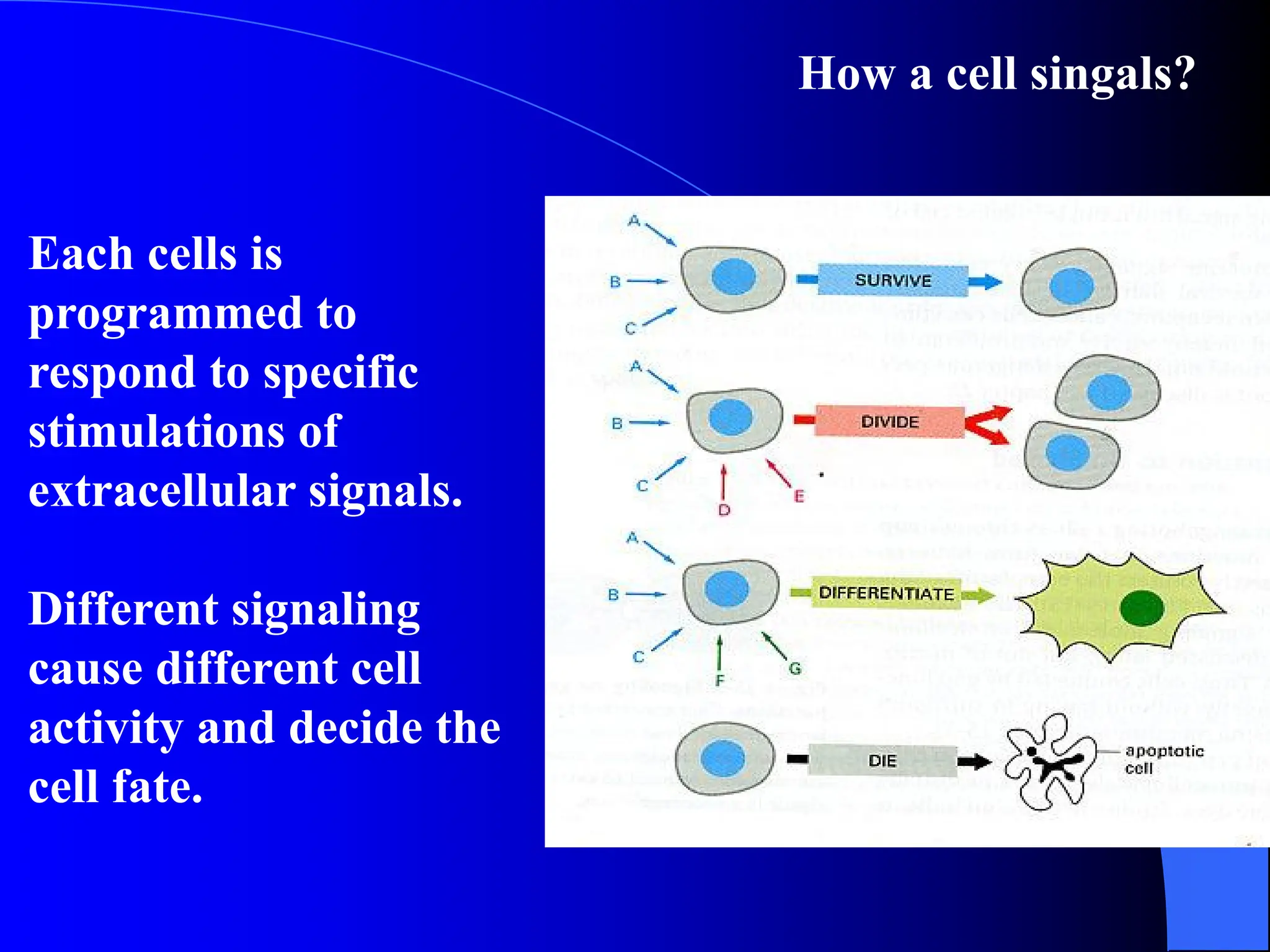 1 the progress of cell signaling.pdf Understanding cell signaling | PPT