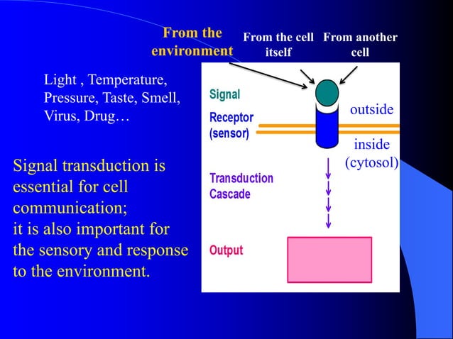 1 the progress of cell signaling.pdf Understanding cell signaling | PPT