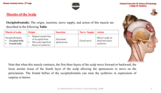 1 The scalp.pptx