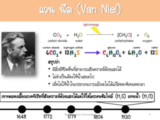 timeline research of the photosynthesis | PDF