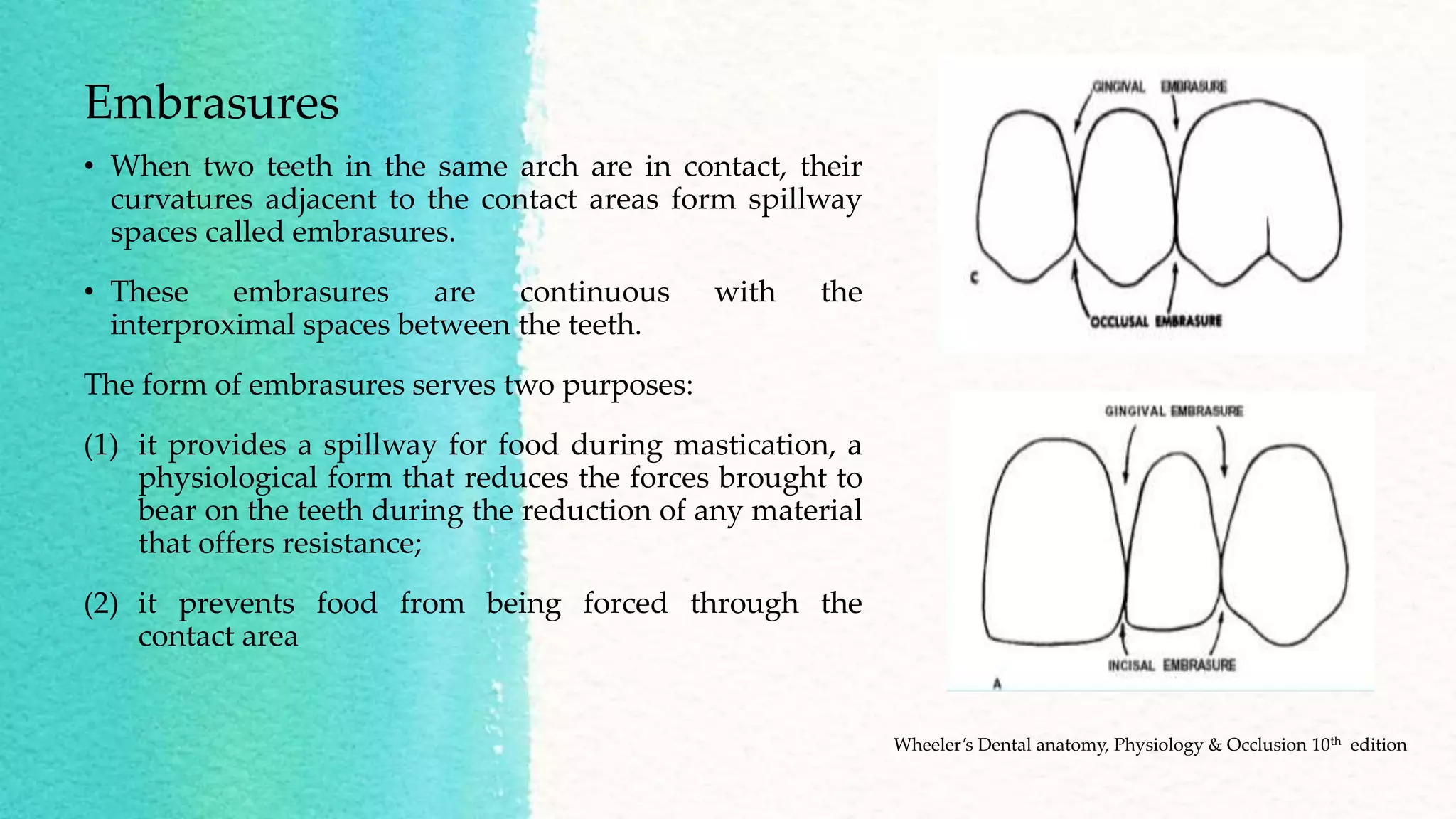 Tooth anatomy and its enigma.pptx