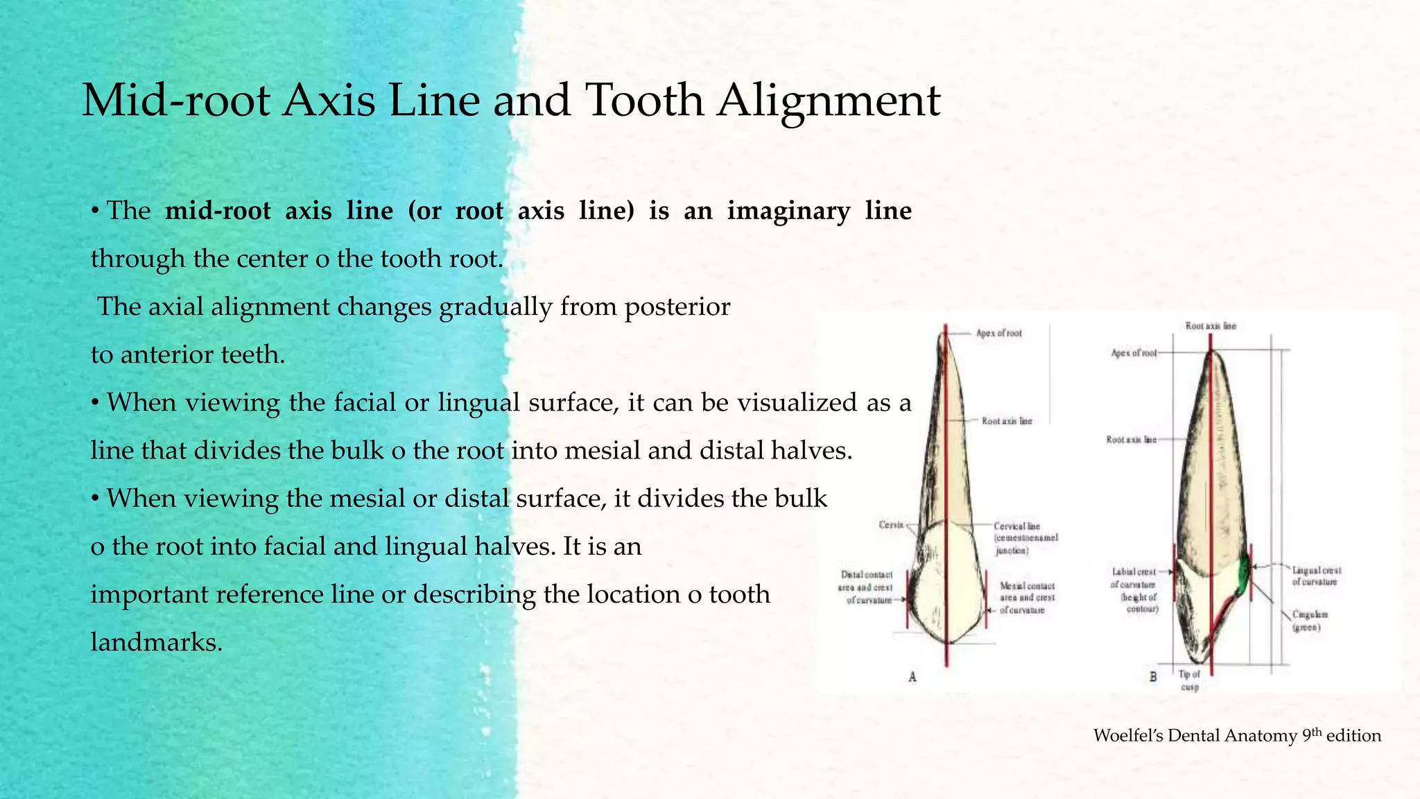 Tooth anatomy and its enigma.pptx