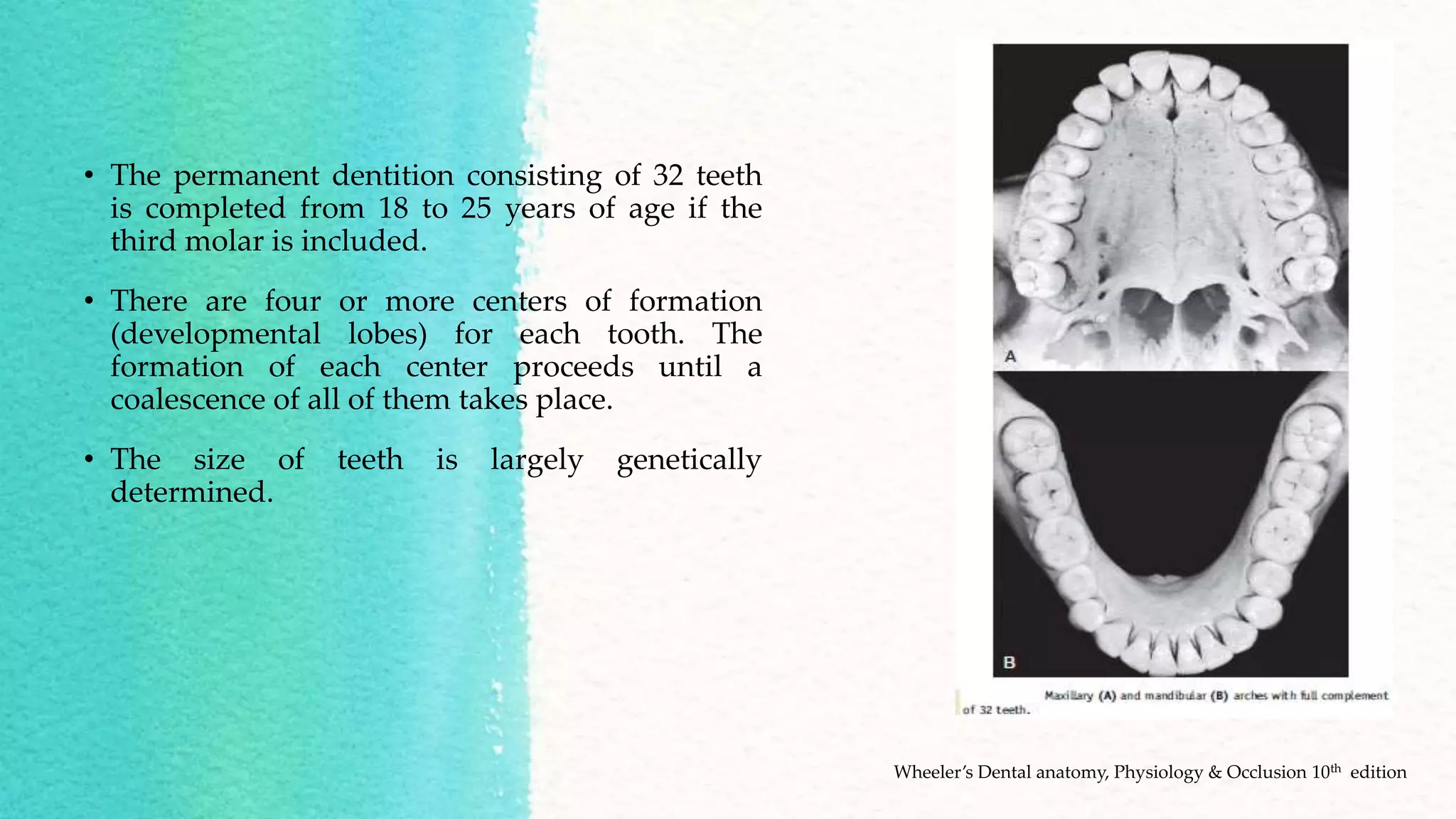 Tooth anatomy and its enigma.pptx