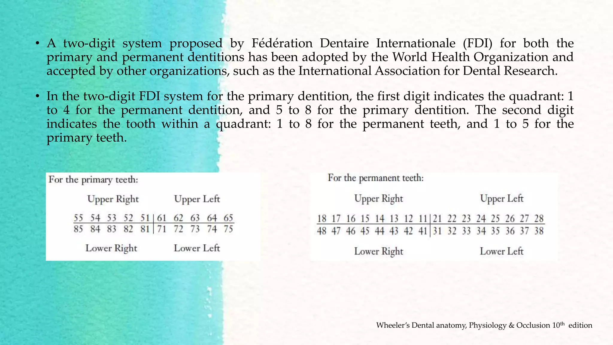 Tooth anatomy and its enigma.pptx