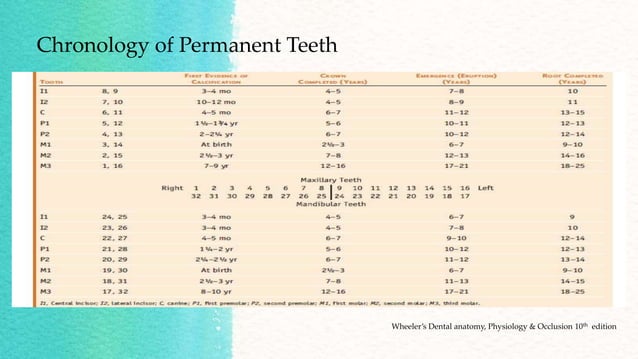 Tooth anatomy and its enigma.pptx