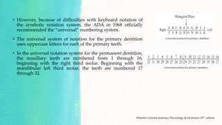Tooth anatomy and its enigma.pptx
