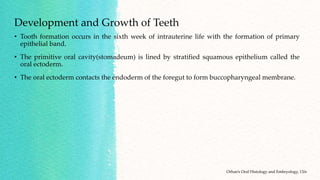 Tooth anatomy and its enigma.pptx