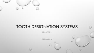 1) TOOTH DESIGNATION SYSTEMS. Lecture 2024 | PPTX