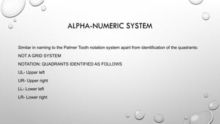 1) TOOTH DESIGNATION SYSTEMS. Lecture 2024 | PPT