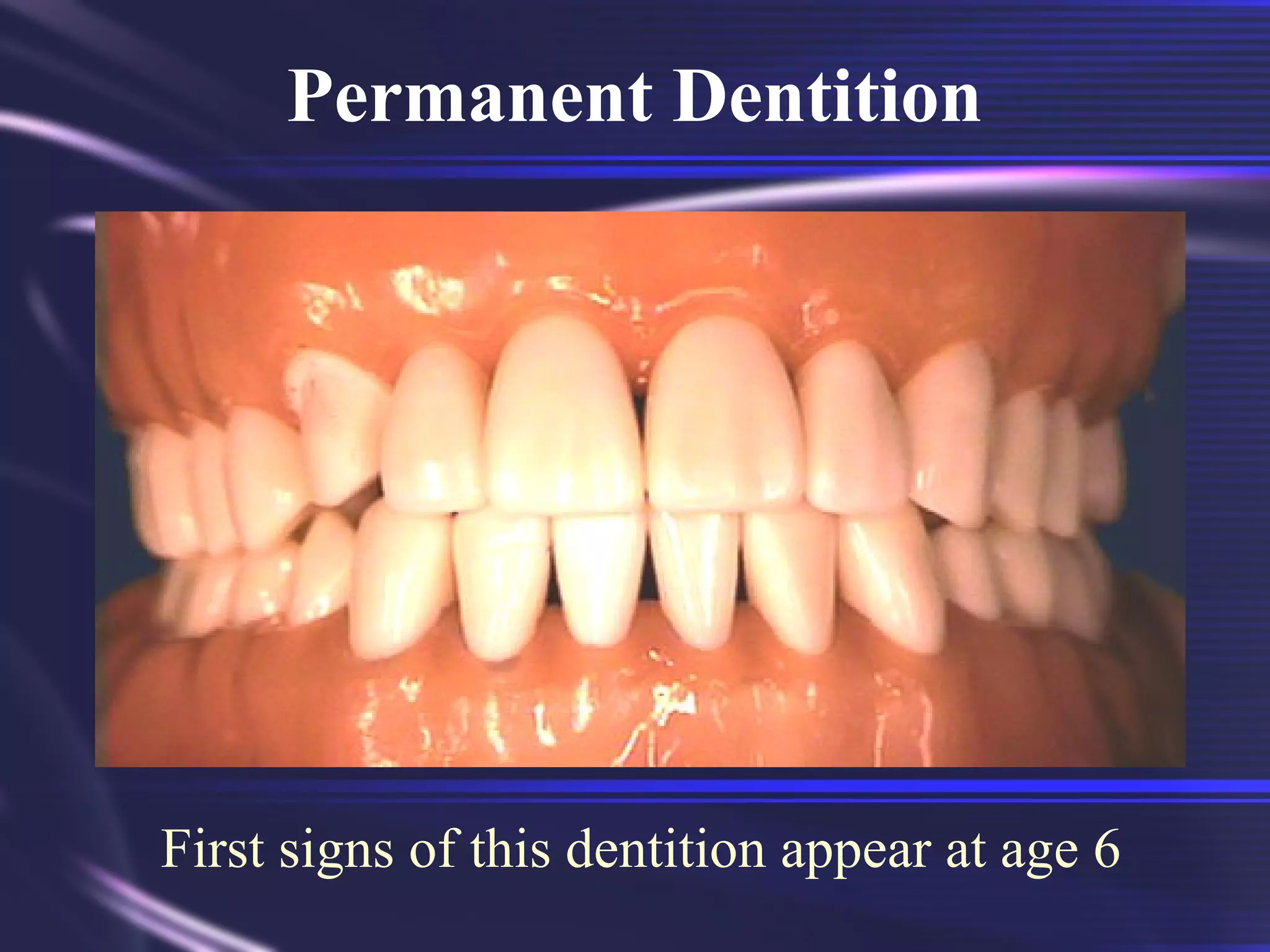 Tooth Morphology Basics | PPT