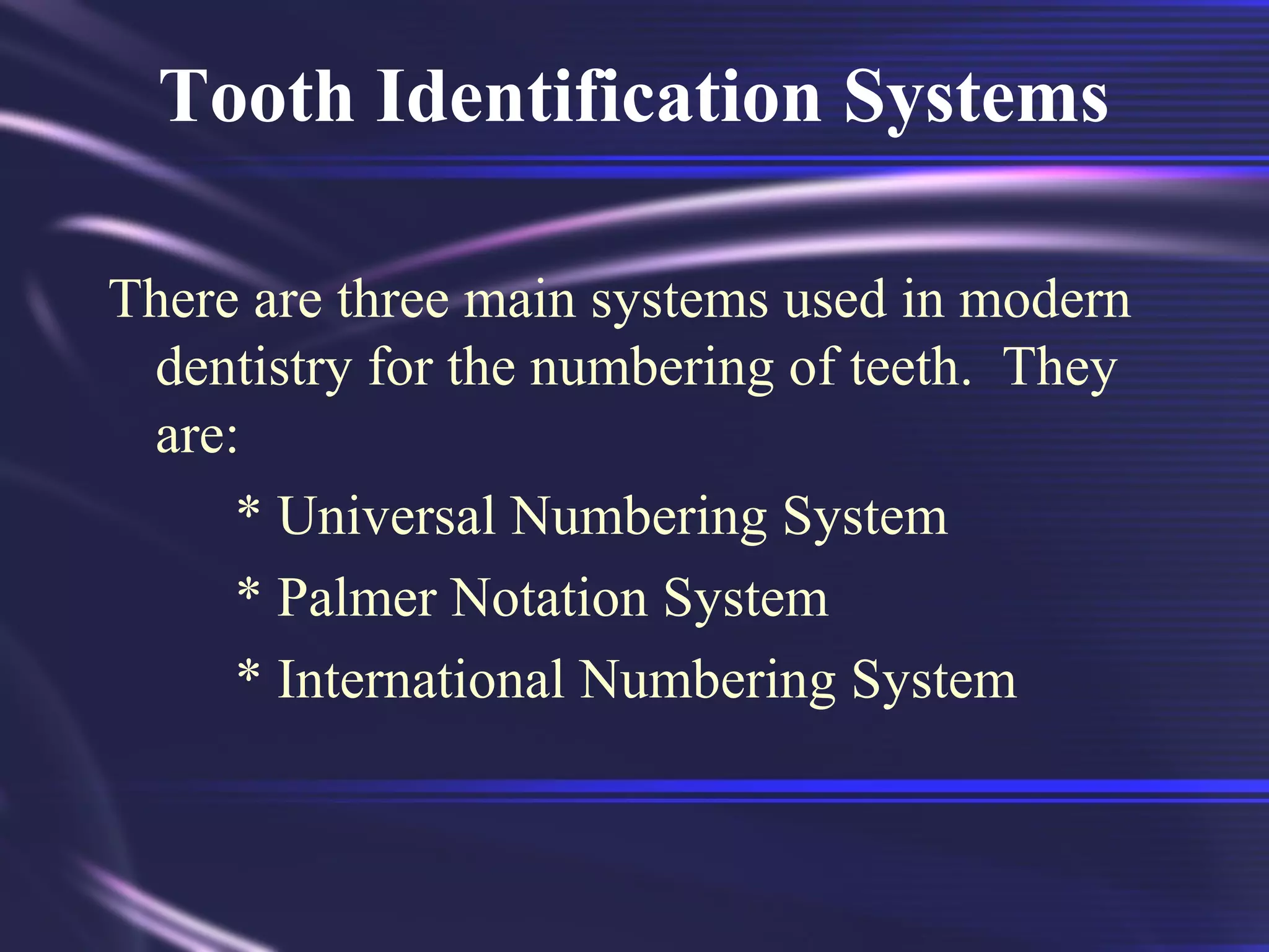 Tooth Morphology Basics | PPT