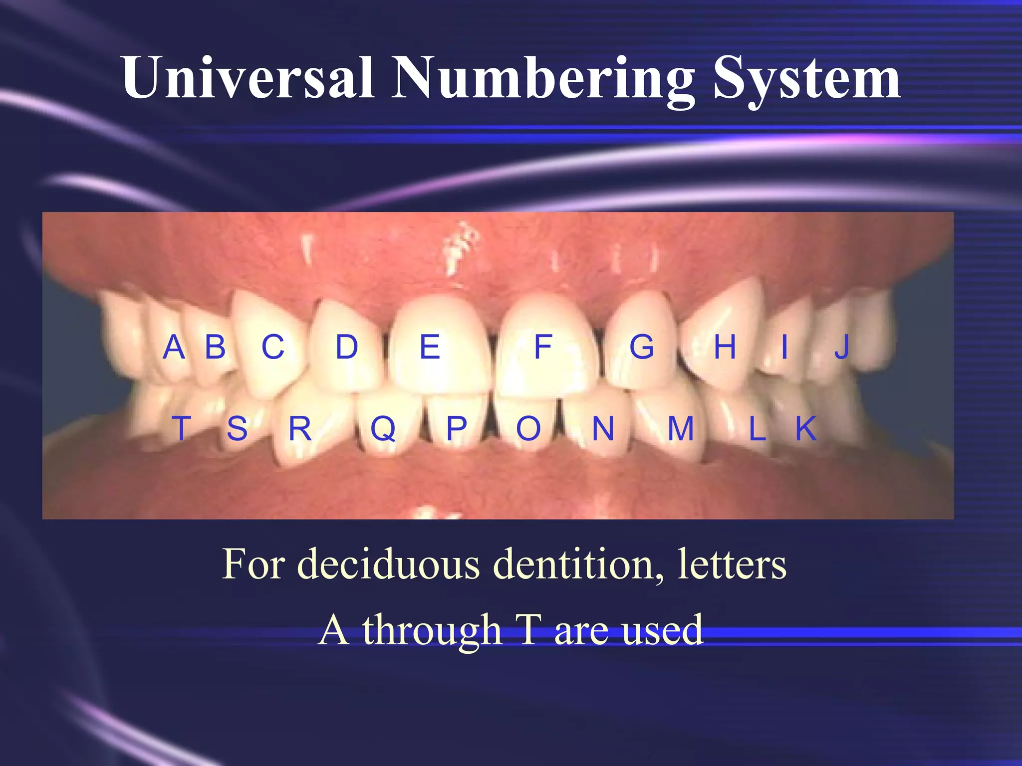Tooth Morphology Basics | PPT