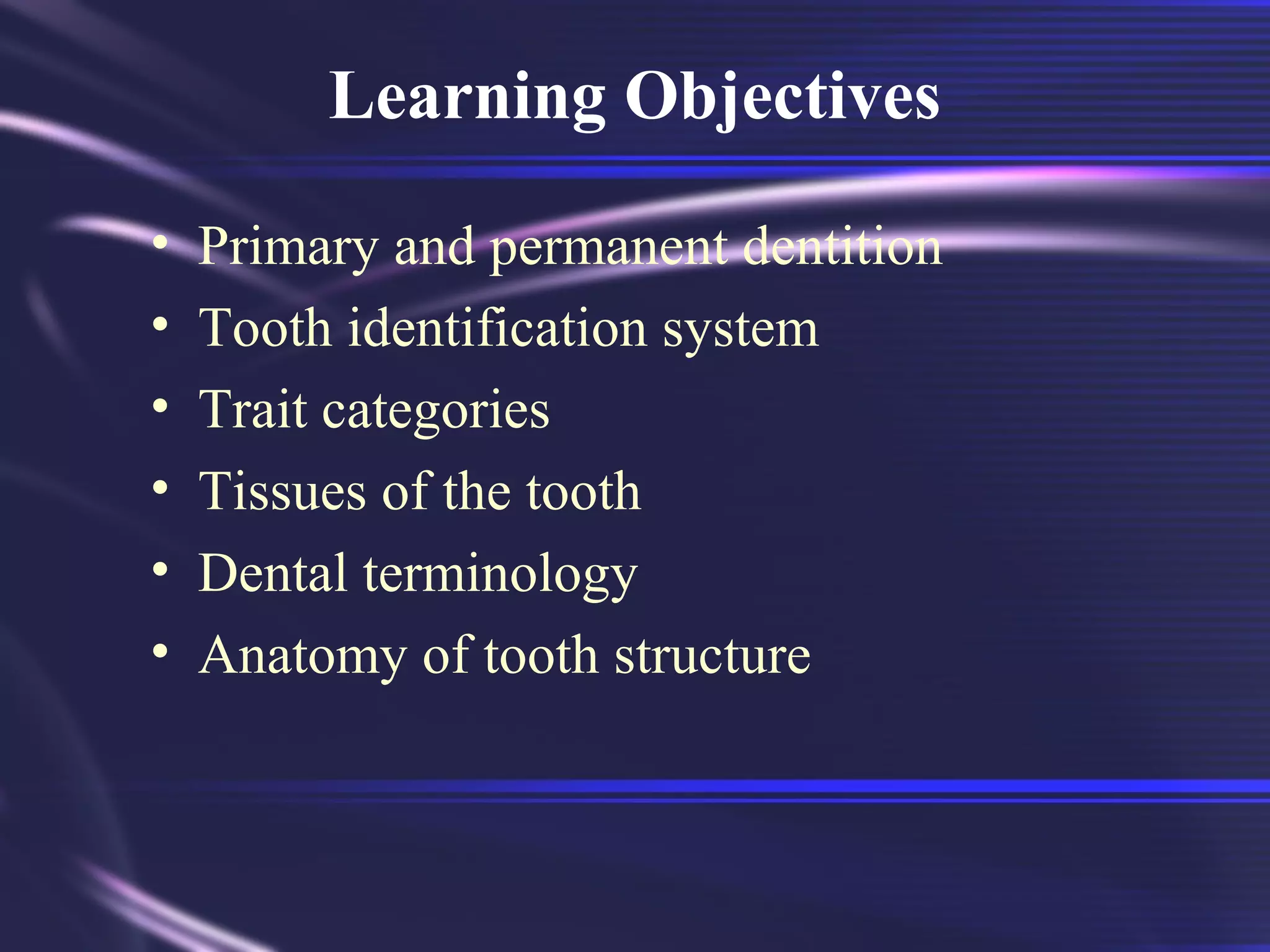 Tooth Morphology Basics | PPT