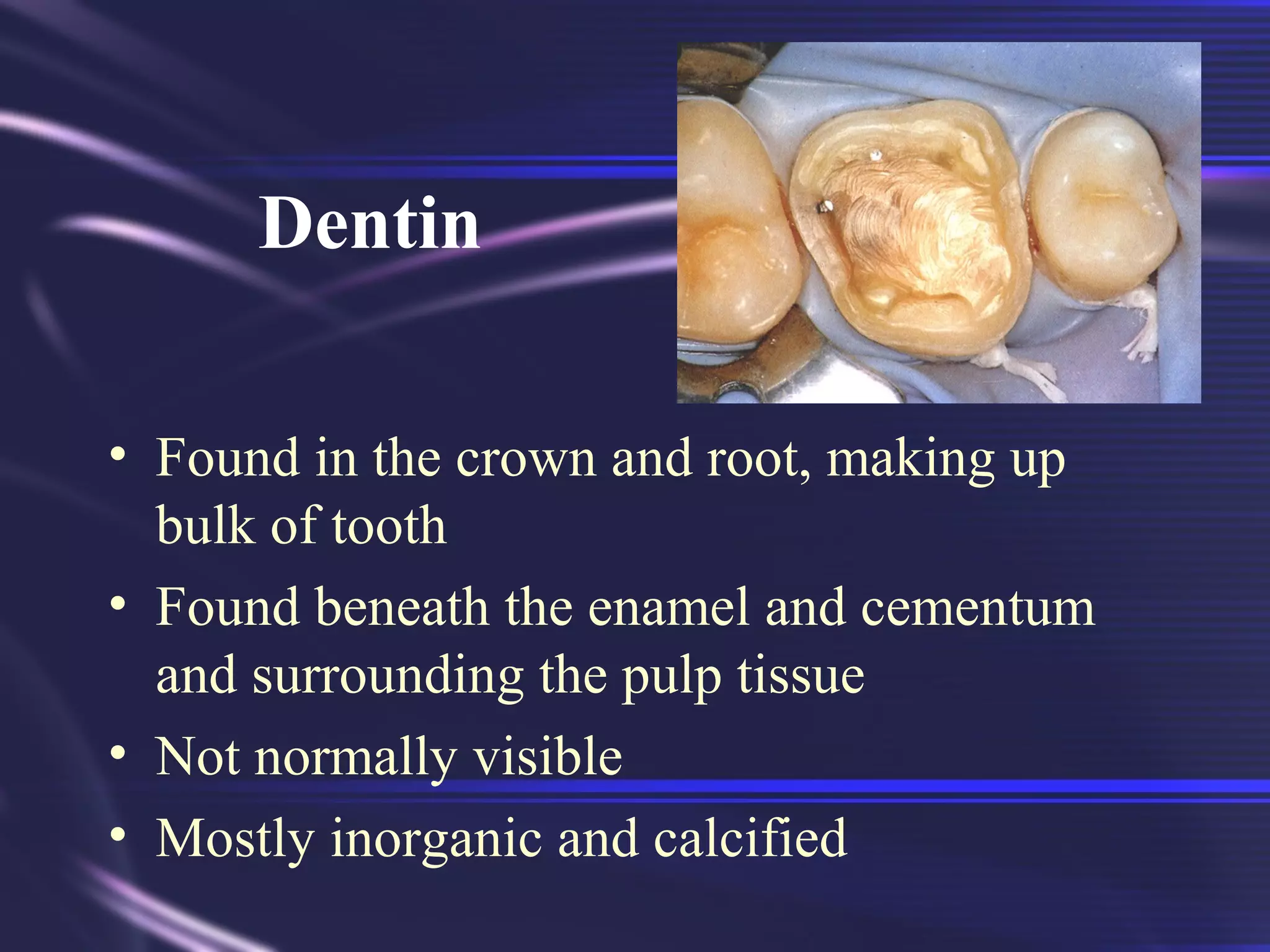 Tooth Morphology Basics | PPT