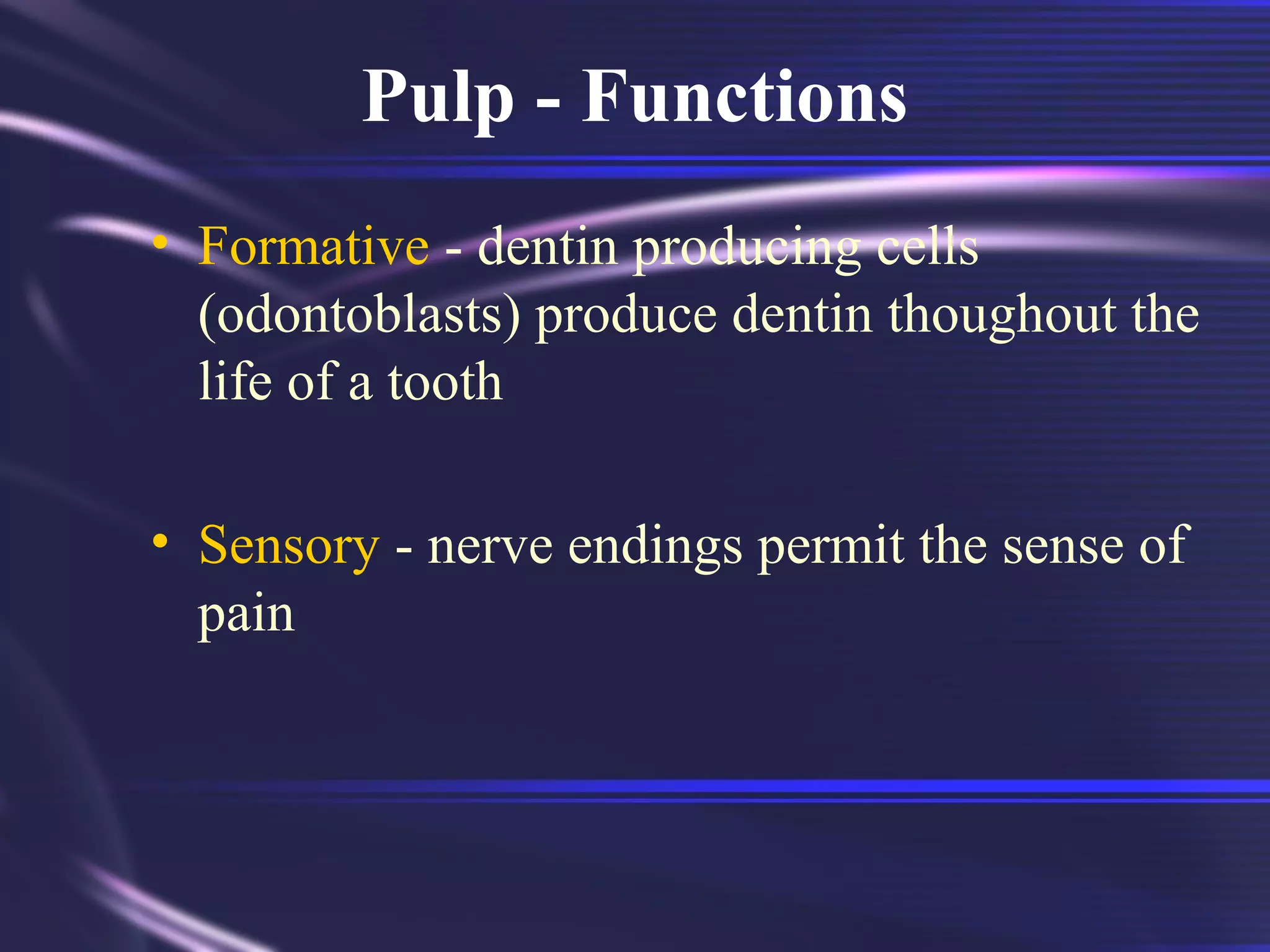 Tooth Morphology Basics | PPT