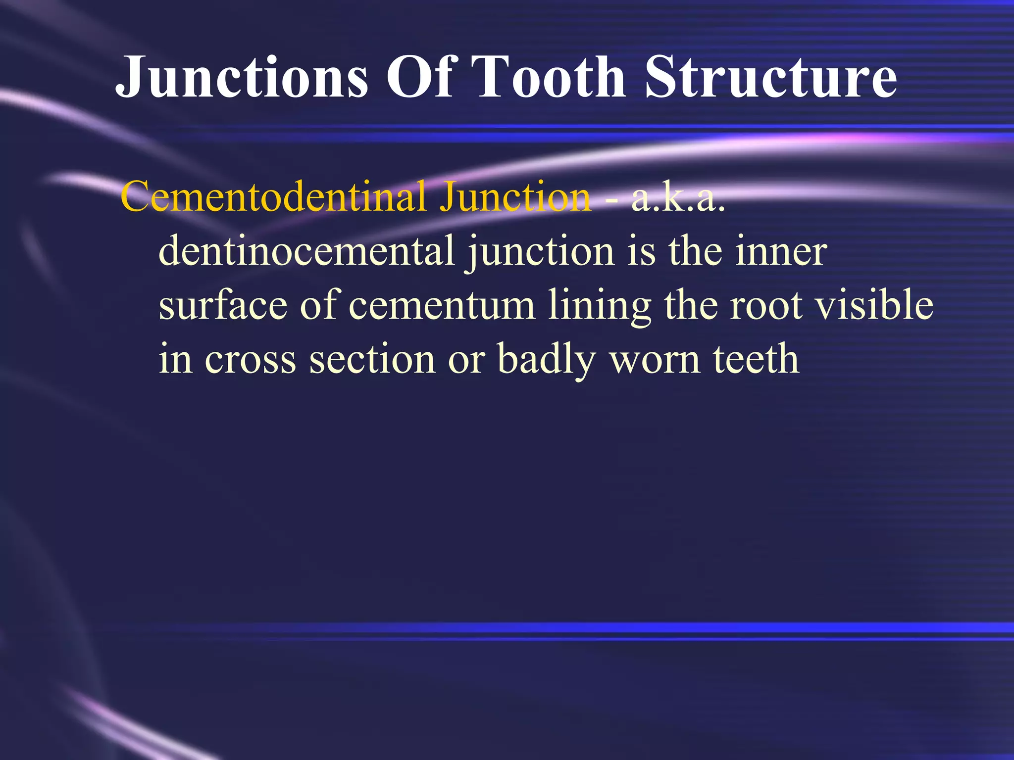 Tooth Morphology Basics | PPT