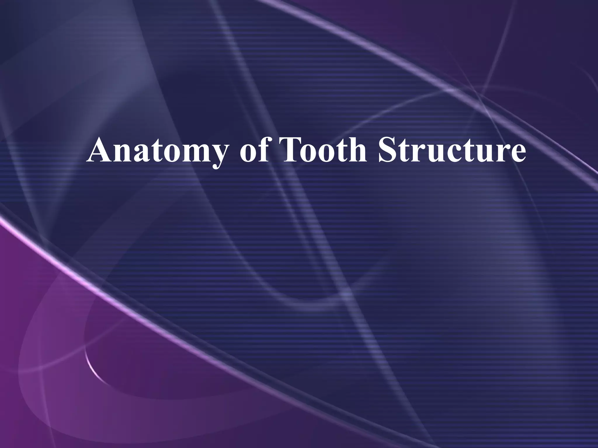 Tooth Morphology Basics | PPT