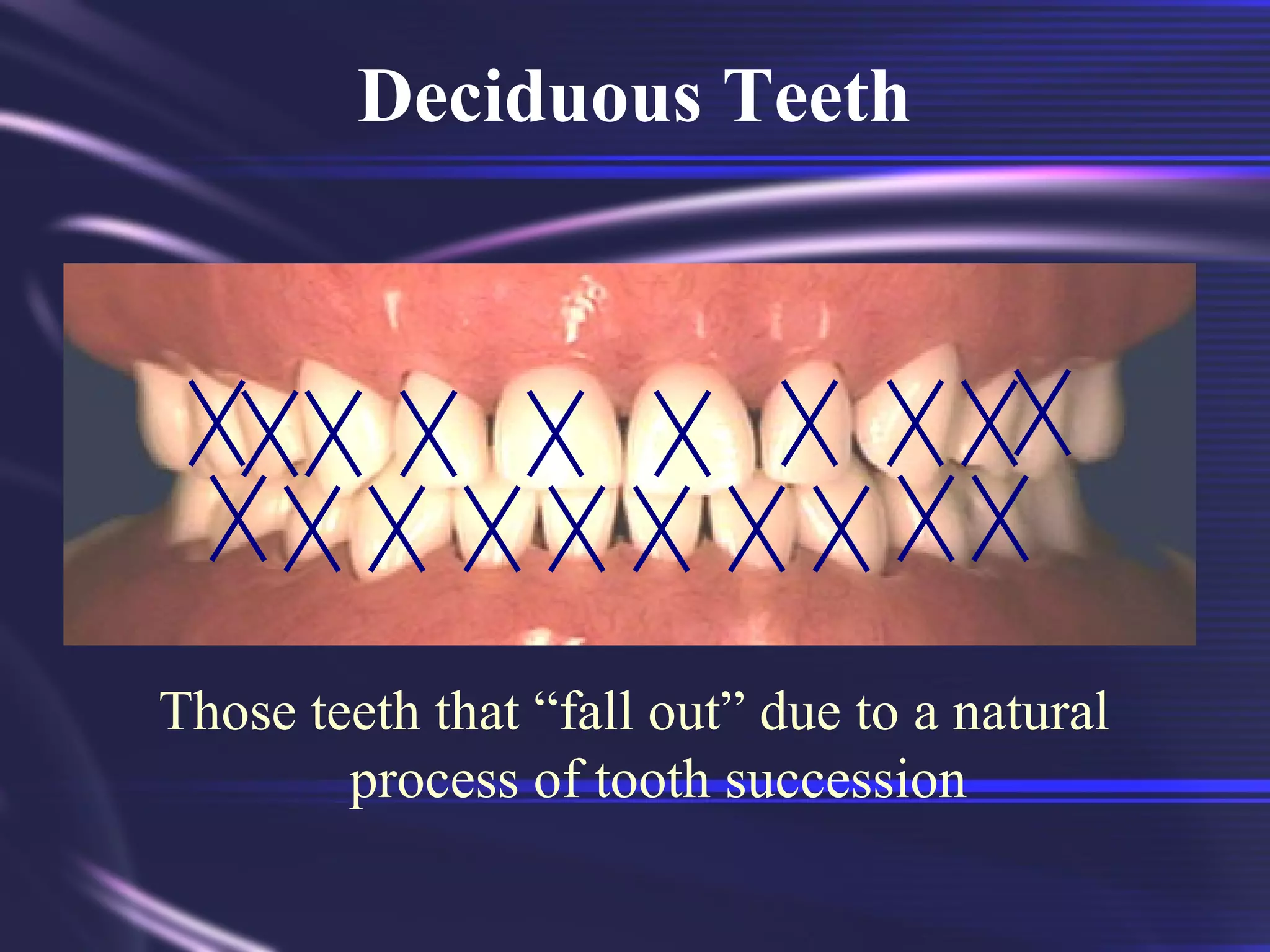 Tooth Morphology Basics | PPT