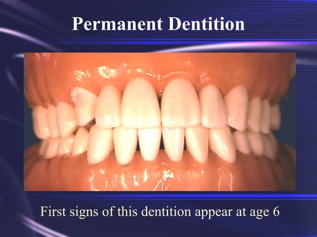 Tooth Morphology Basics | PPT