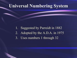Tooth Morphology Basics | PPT