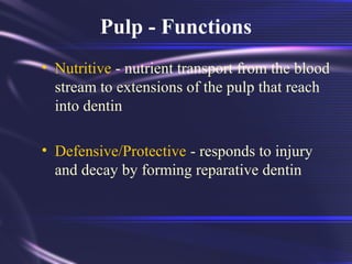 Tooth Morphology Basics | PPT