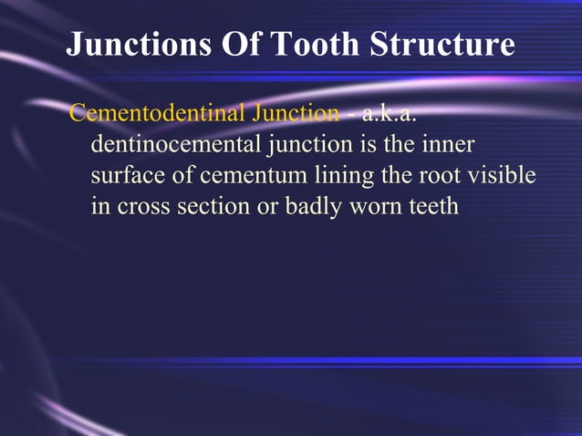 Tooth Morphology Basics | PPT